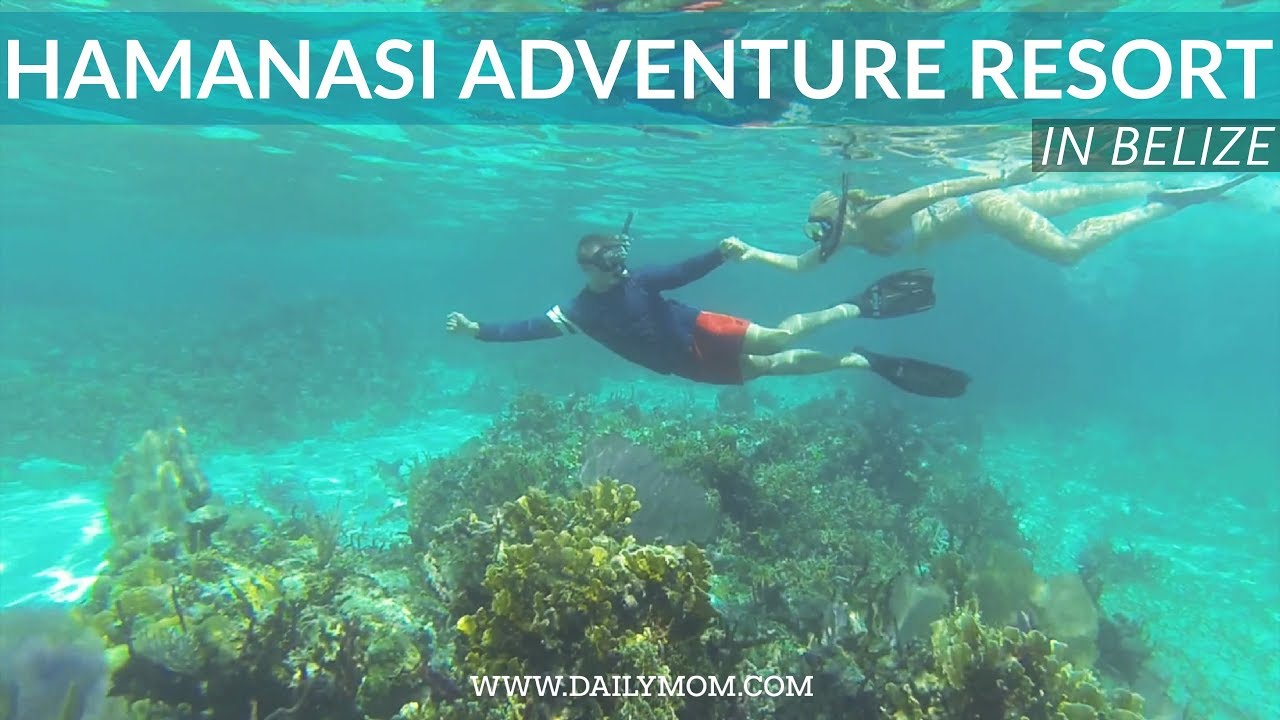 Welcome To Hamanasi Adventure And Dive Resort In Belize ⋆ Every Avenue ...