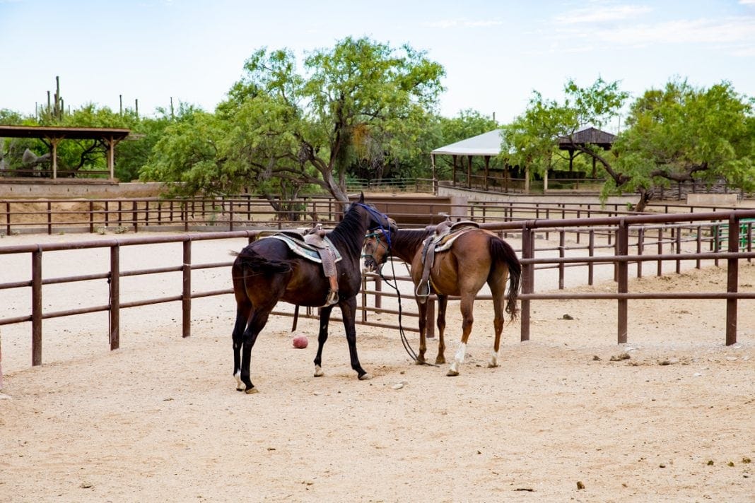 10 Best Dude Ranches For An All-Inclusive Experience ⋆ Every Avenue Travel