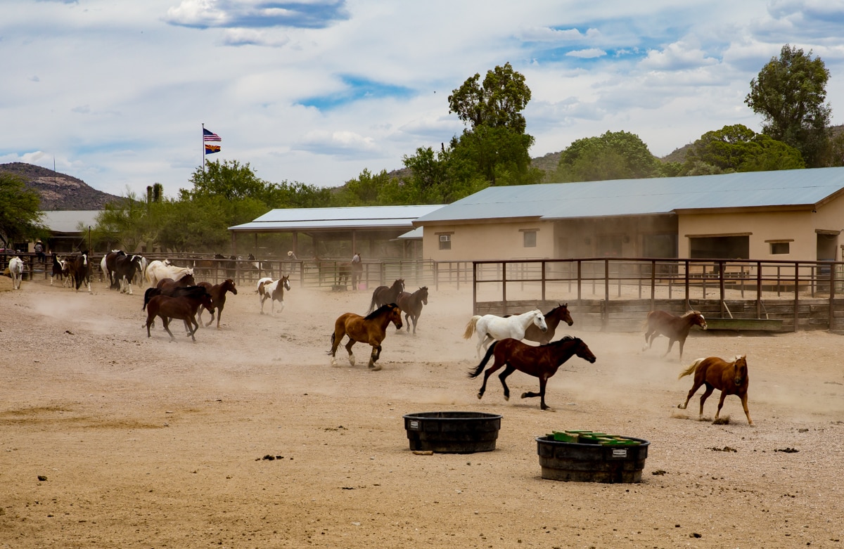 10 Best Dude Ranches For An All-Inclusive Experience ⋆ Every Avenue Travel