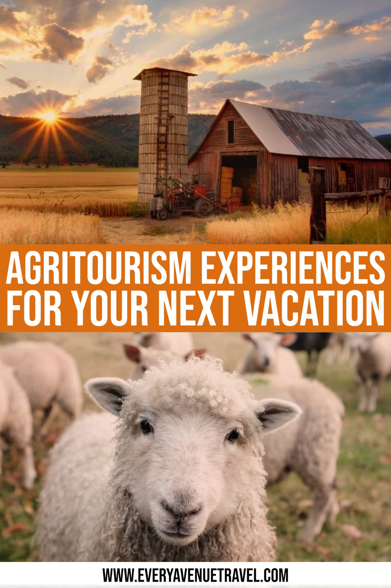 5 Agritourism Experiences To Consider For Your Next Vacation