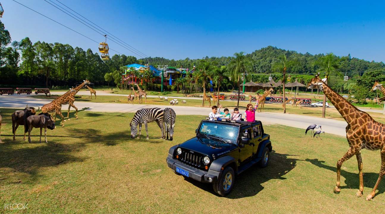 8 Of The Best Animal Safari Locations In The World ⋆ Every Avenue Travel