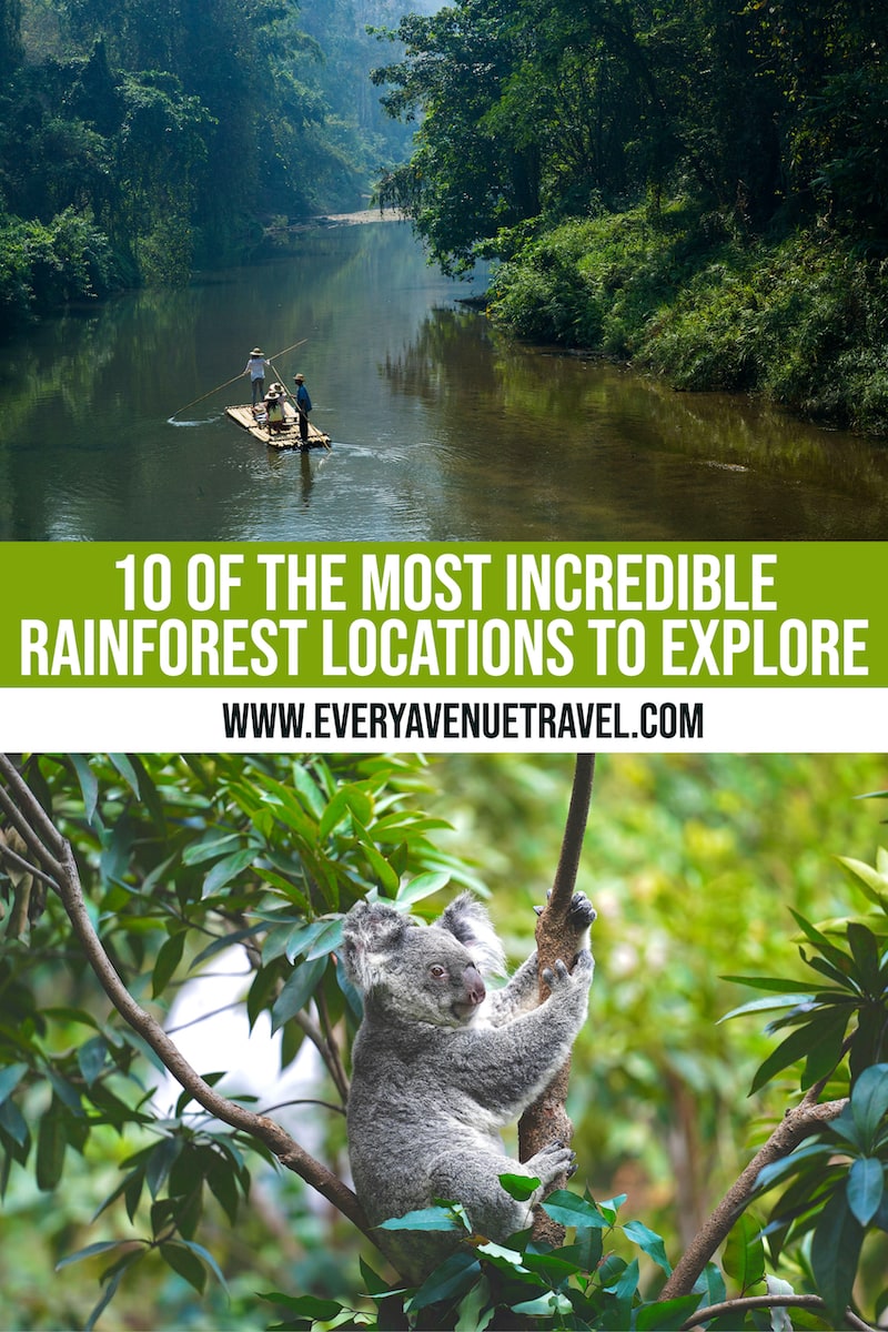 8 Of The Best Rainforest Locations To Visit In The World ⋆ Every Avenue ...